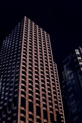 The Tower